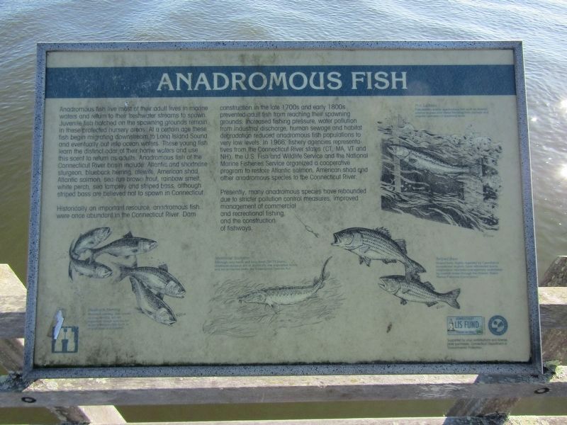Anadromous Fish Historical Marker
