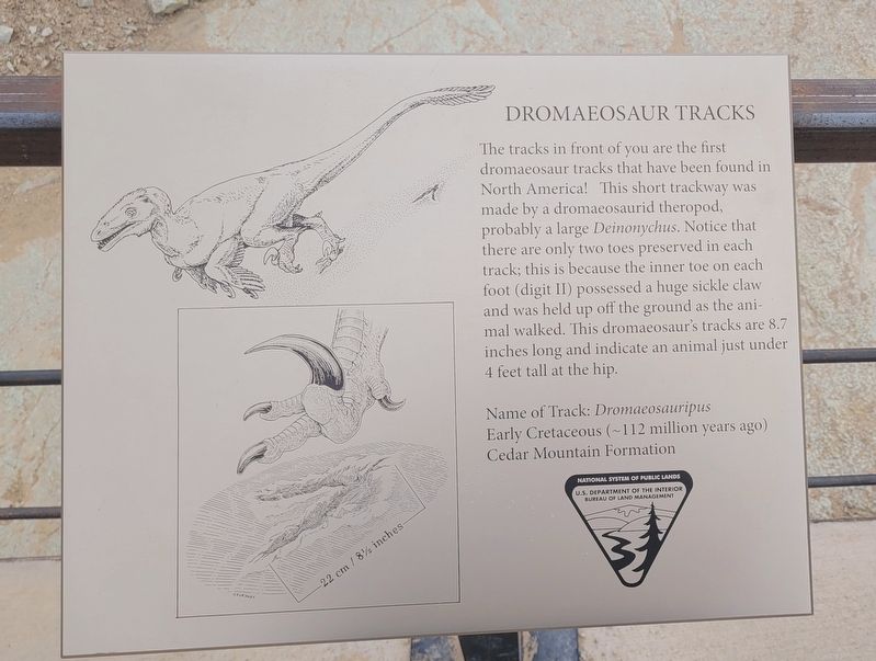 Dromaeosaur Tracks Historical Marker