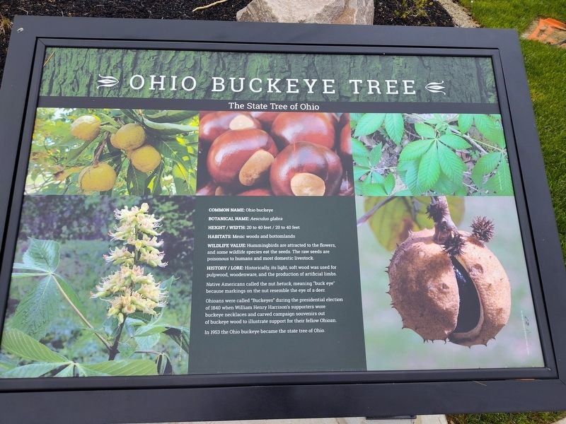 Ohio Buckeye Tree Historical Marker