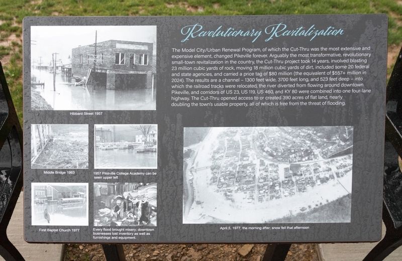 Revolutionary Revitalization Historical Marker