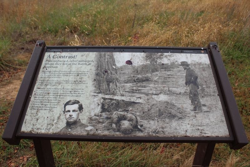 A Contrast! Historical Marker
