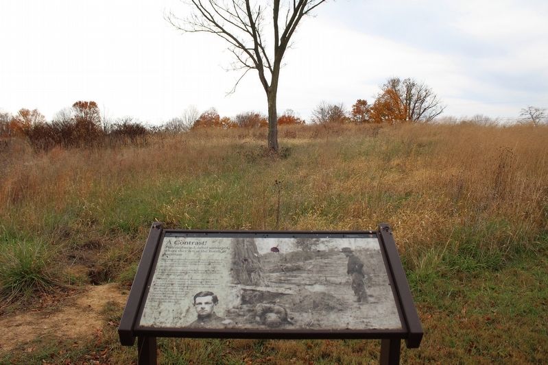 A Contrast! Historical Marker