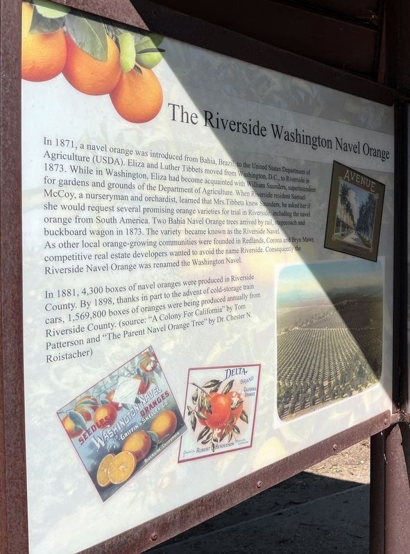 The Riverside Washington Navel Orange Historical Marker