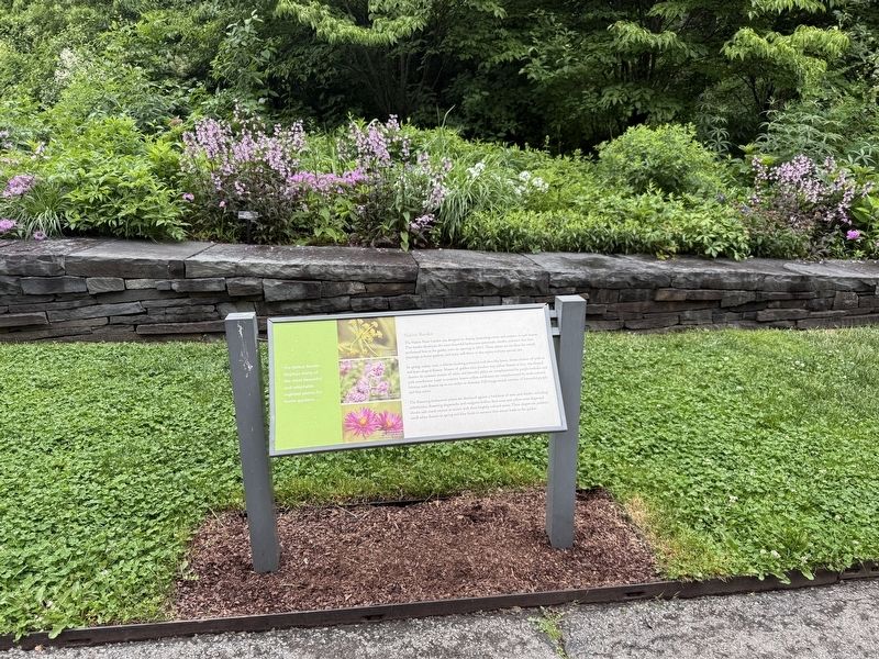 Native Border Historical Marker