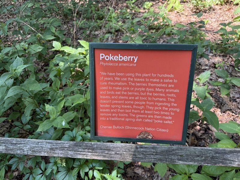 Pokeberry Historical Marker