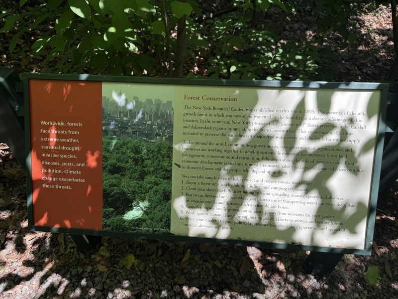 Forest Conservation Historical Marker
