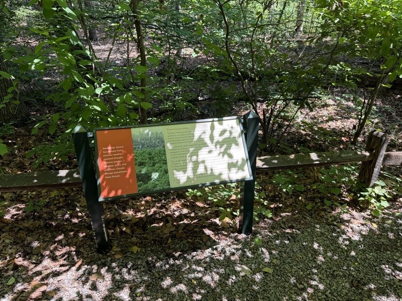 Forest Conservation Historical Marker