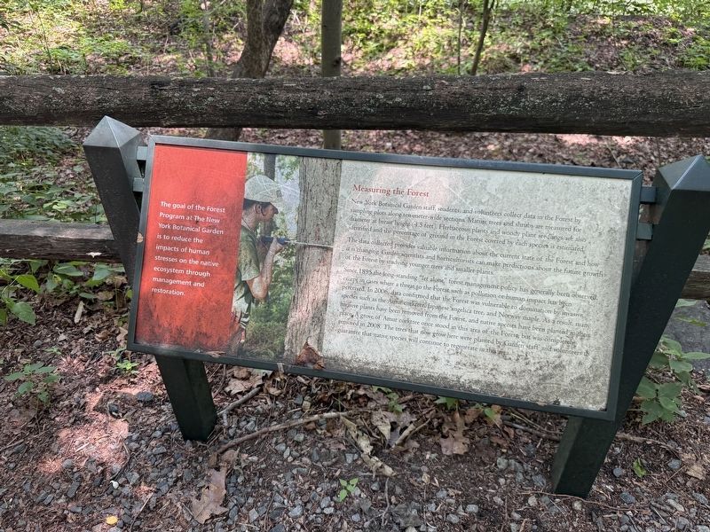 Measuring the Forest Historical Marker