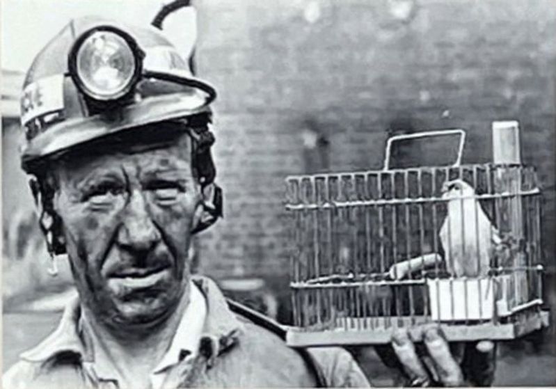 Life in the Coal Mines Historical Marker
