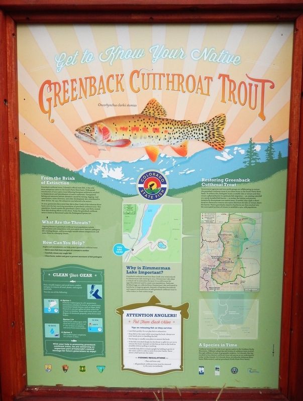 Get to Know your Native Greenback Cutthroat Trout Historical Marker