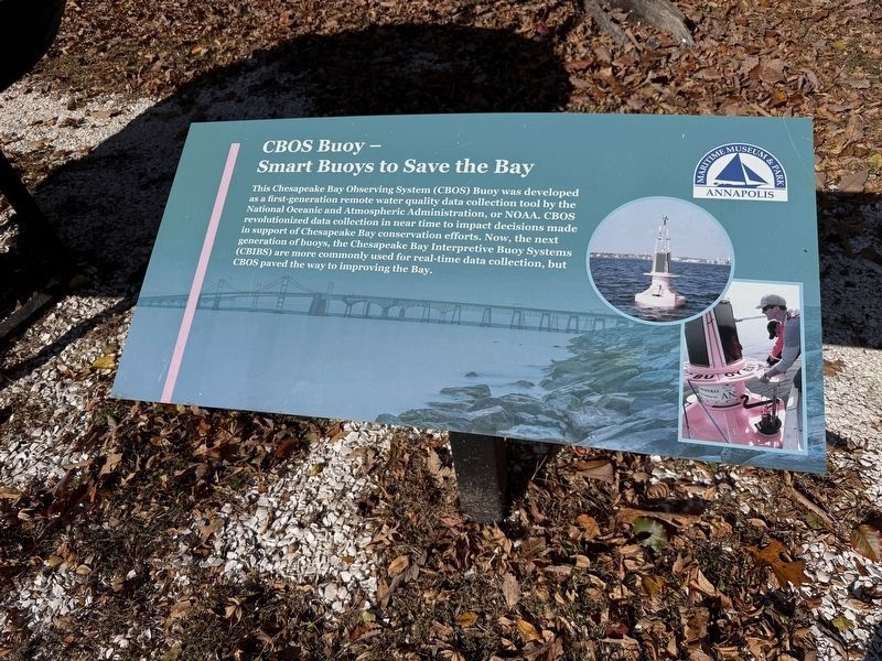 CBOS Buoy - Smart Buoys to Save the Bay Historical Marker
