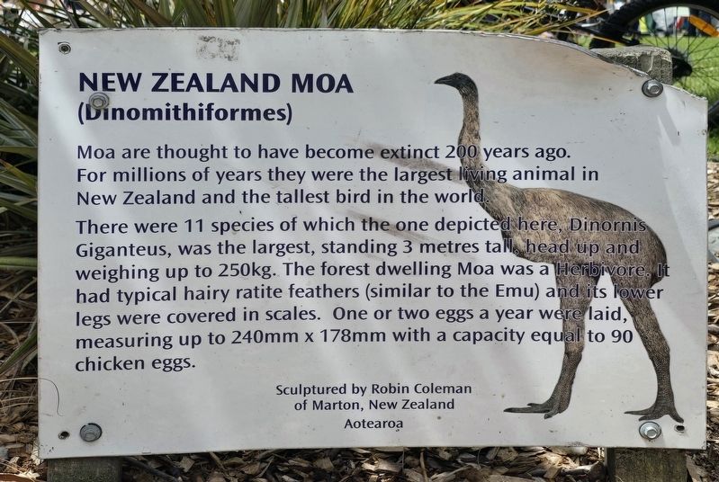 New Zealand Moa (Dinomithiformes) Historical Marker