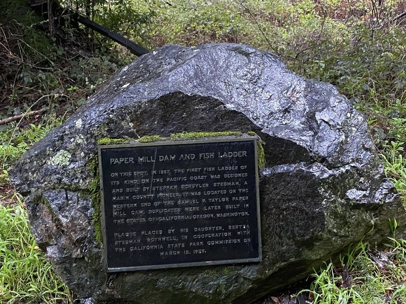 Paper Mill Dam and Fish Ladder Historical Marker